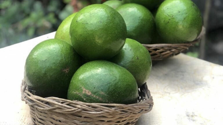 5 Famous Fruits In Kodai & How To Source Them Locally?